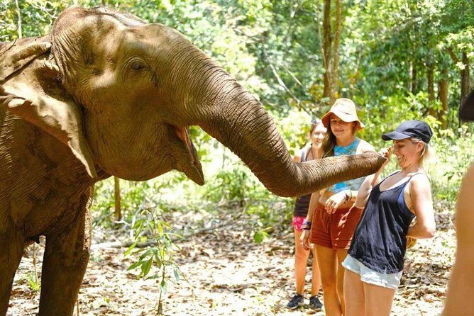 3 Days Jungle Trek in Virachey Forest - Transportation, Meals, and Practicalities