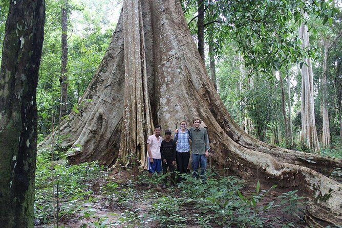 3 Days Jungle Trek in Virachey Forest - The Experience and Why It Stands Out