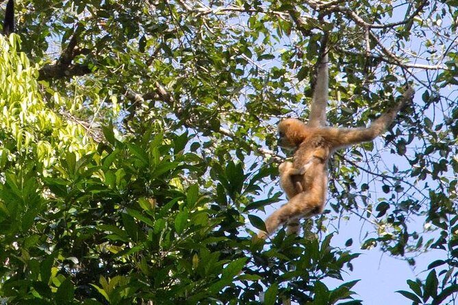 3 Days Jungle Trek in Virachey Forest - The Sum Up