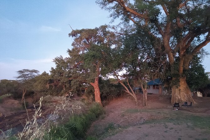 3 Days Masai Mara Camping Safari - Inclusions and Exclusions