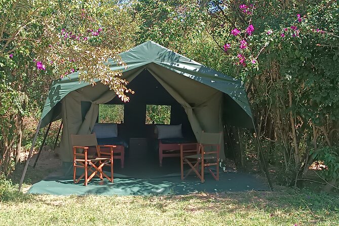 3 Days Masai Mara Camping Safari - Reviews and Feedback
