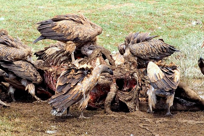 3 Days Masai Mara Camping Safari - Exploring the Masai Mara Landscape