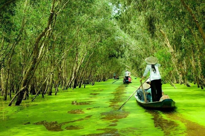 3 Days Mekong Delta Luxury Group Tour from Ho Chi Minh City - The Experience’s Best Aspects