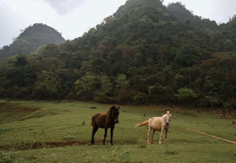 3 Days Motorbike Cao Bang - Ban Gioc Cheers Tour - The Sum Up