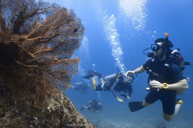 3 Days Phuket Open Water Diver Course & Scuba with License Guide - FAQ