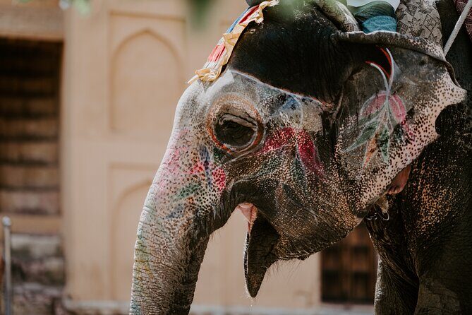 3-Days Private Luxury Golden Triangle Tour ( Delhi, Agra and Jaipur ) - The Sum Up