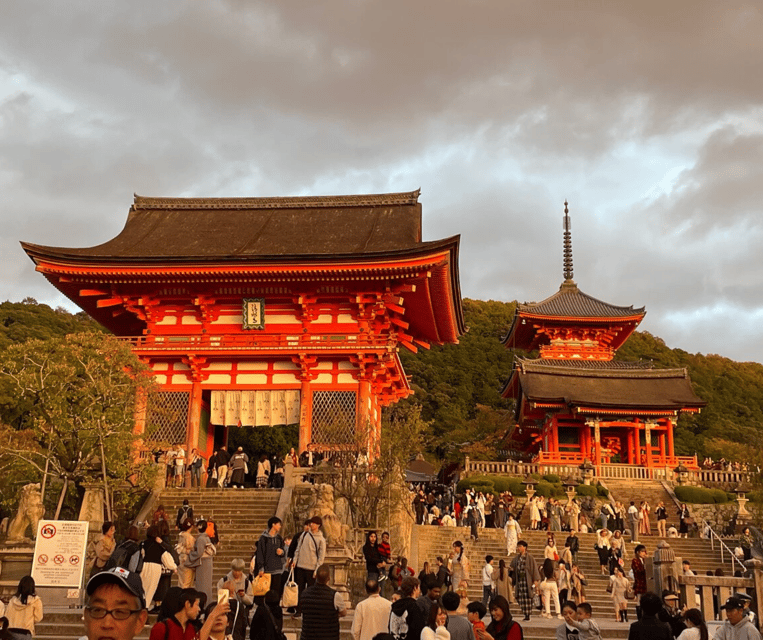 3 Days Private Osaka Kyoto and Nara Tour With English Driver - Planning Your Tour