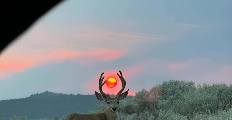 3 Days Private Osaka Nara and Kyoto Tour With English Driver - Itinerary Highlights