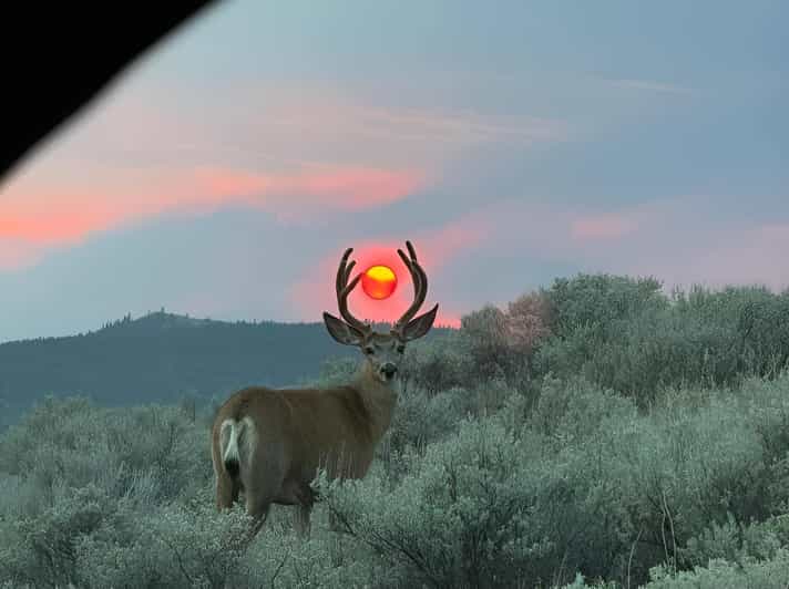 3 Days Private Osaka Nara and Kyoto Tour With English Driver - Transportation and Amenities