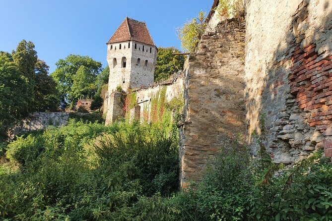 3 Days Private Tour Romania with Transfagarasan Road from Bucharest - A Deep Dive into the Itinerary