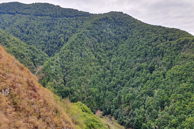 3 Days Private Tour Romania with Transfagarasan Road from Bucharest - The Sum Up