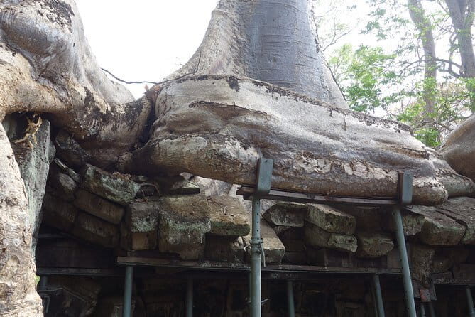 3 Days Private Trip to Angkor Wat from Siem Reap - Who Should Consider This Tour?