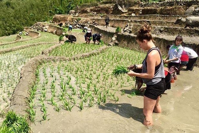 3 Days SAPA Real Experience at Local People House - The Overall Value: Is It Worth It?