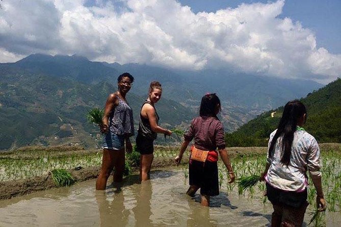 3 Days SAPA Real Experience at Local People House - Who Should Consider This Tour?
