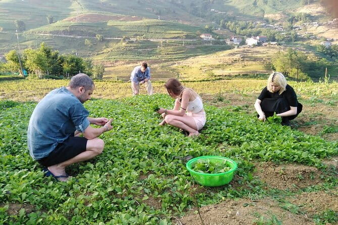 3-Days Sapa Trekking With Local Guide Overnight in Tavan Village - An In-Depth Look at the Sapa Trekking Tour