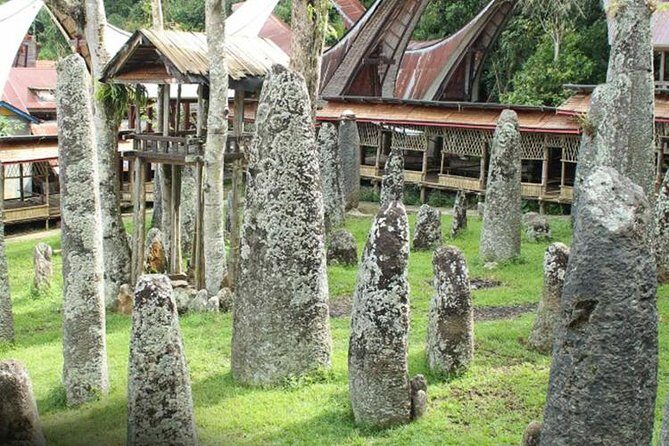 3 Days Tana Toraja from Makassar: Kete Kesu Village, Menhir to Funeral Burial - Transportation and Logistics
