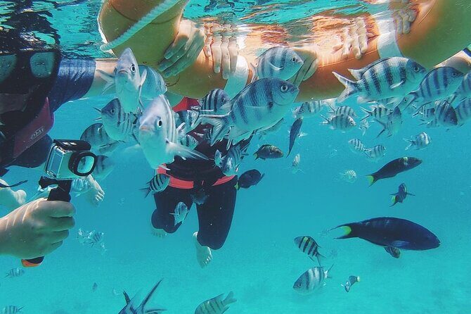 3 Days Tioman Island Package from Singapore (Private tour) - An In-Depth Look at the 3-Day Tioman Island Tour