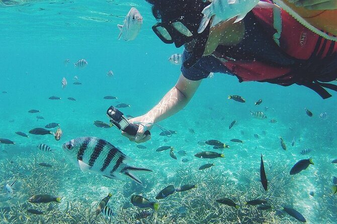 3 Days Tioman Island Package from Singapore (Private tour) - FAQs