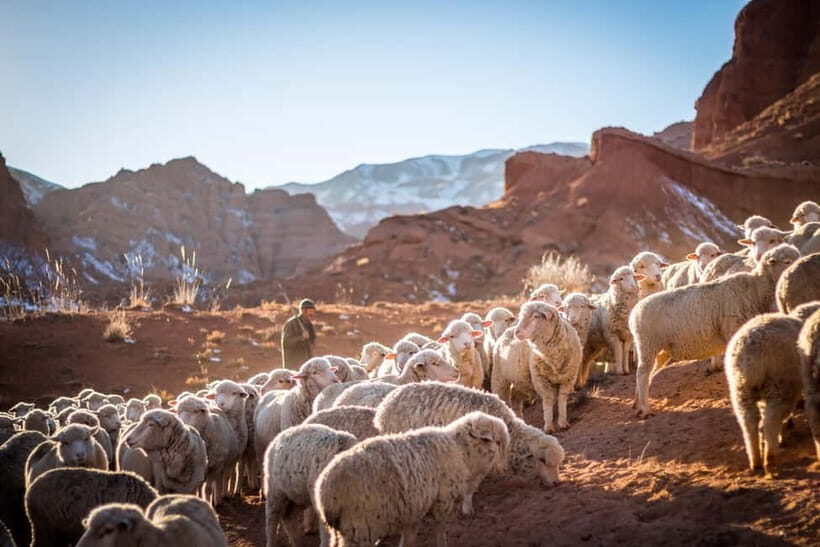 3-Days Tour Around Issyk Kul Lake, Canyons & Stay in Valleys - Who is This Tour Best Suited For?
