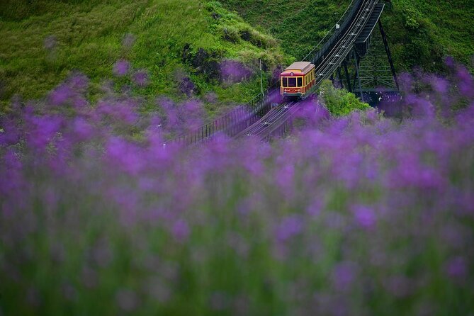 3 Days Tour & Fansipan Mountain Hotel & Bungalow from Hanoi - FAQ
