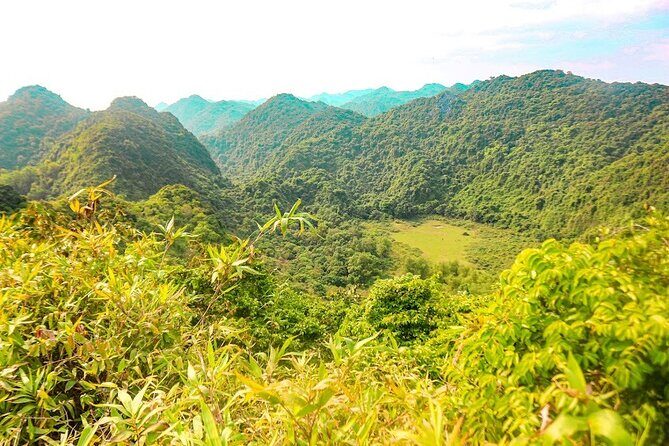 3 Days Tour from Cat Ba Town to Cat Ba National Park - FAQs