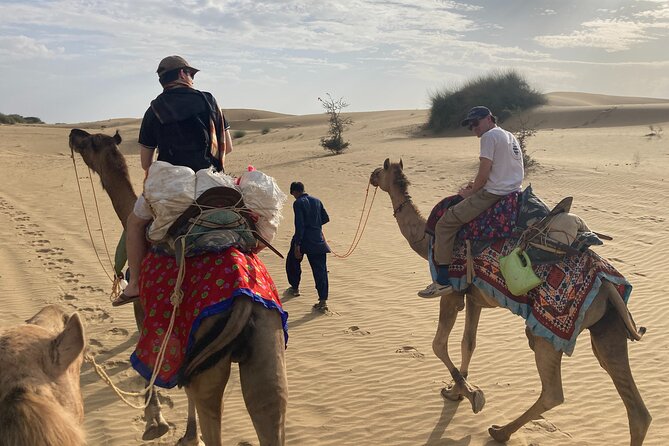 3 Days Tour in Wild Desert Safari - Key Points