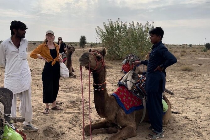 3 Days Tour in Wild Desert Safari - The Accommodation, Food, and Transportation