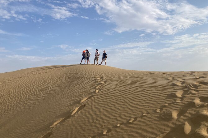 3 Days Tour in Wild Desert Safari - Pricing and Value for Money