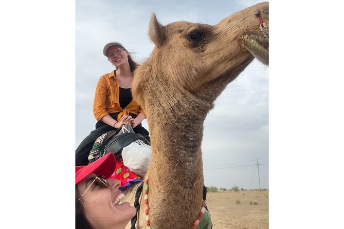 3 Days Tour in Wild Desert Safari - Who Is This Tour Best Suited For?