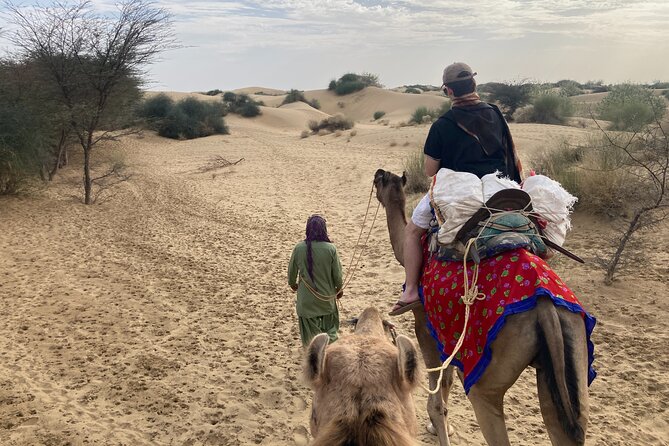 3 Days Tour in Wild Desert Safari - Frequently Asked Questions