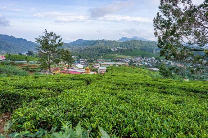 3 Days Tour to Kandy, Nuwara Eliya & Sigiriya - Final Thoughts