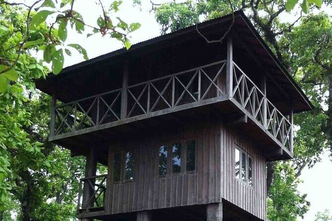 3-Days Tower Night Stay inside Jungle Tour - Practical Considerations