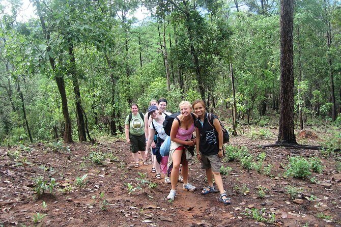 3 Days Trekking Tour to Mae Wang Jungle from Chiang Mai - Transportation and Group Dynamics