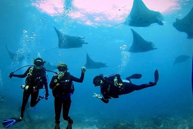 3 Epic Dives in Nusa Penida - Certified Divers' Day Trip - Key Points