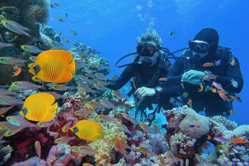3 Fun Dives for Certified diver at Racha Yai/Noi - Frequently Asked Questions