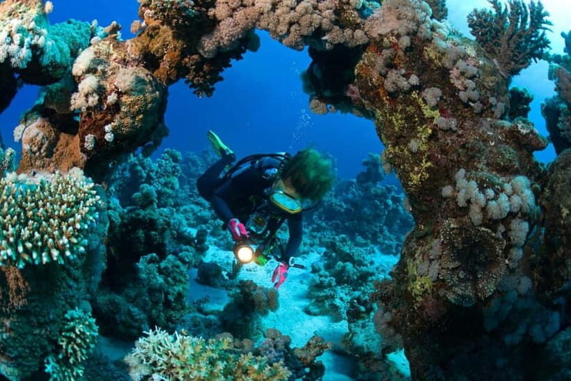 3 Fun Dives for Certified Diver Phi Phi islands &Shark Point - Authentic Experiences & Reviews