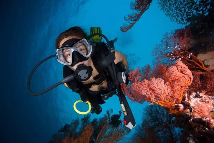 3 Fun Dives for Certified Diver Phi Phi islands &Shark Point - Who Should Consider This Trip?