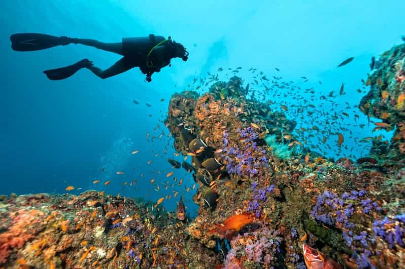 3 Fun Dives for Certified King Cruiser wreck and Koh Dok Mai - An Honest Look at the Tour Experience