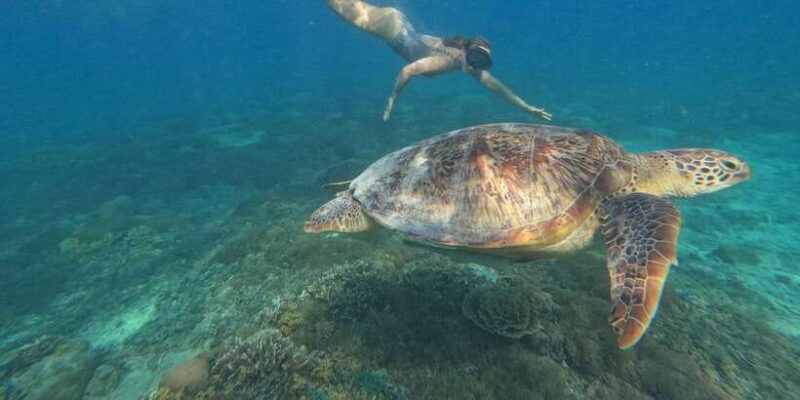 3 Gili island: snorkeling & turtle sanctuary gopro included - Key Points