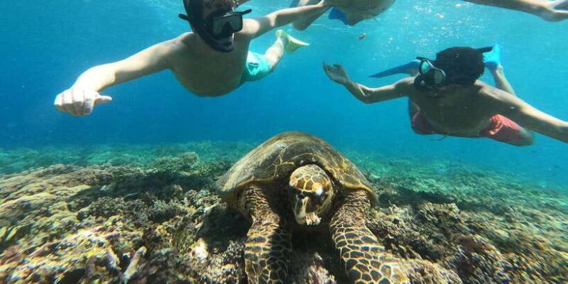 3 Gili island: snorkeling & turtle sanctuary gopro included - The Experience in Detail