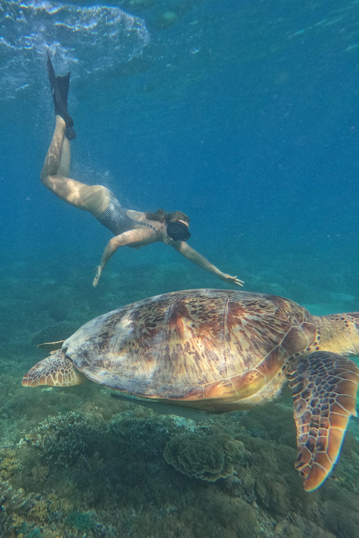 3 Gili island: snorkeling & turtle sanctuary gopro included - Final Thoughts