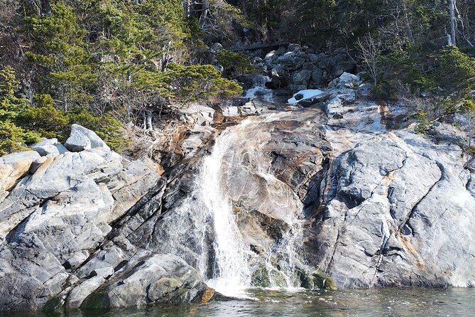 3 Hour Alaska Waterfalls Tour - Practical Details and Value