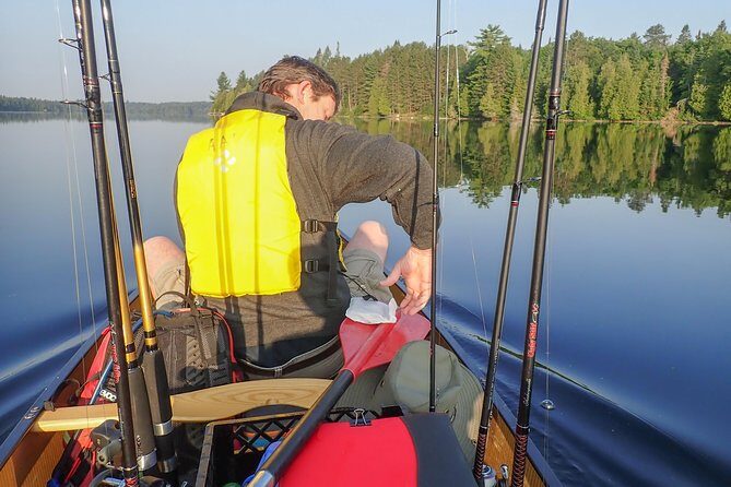 3 Hour Algonquin Park Bass & Trout Fishing (private- price is for 1 or 2 people) - Key Points