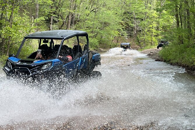 3 Hour Back Country Can-Am Experience - Reviews and Testimonials