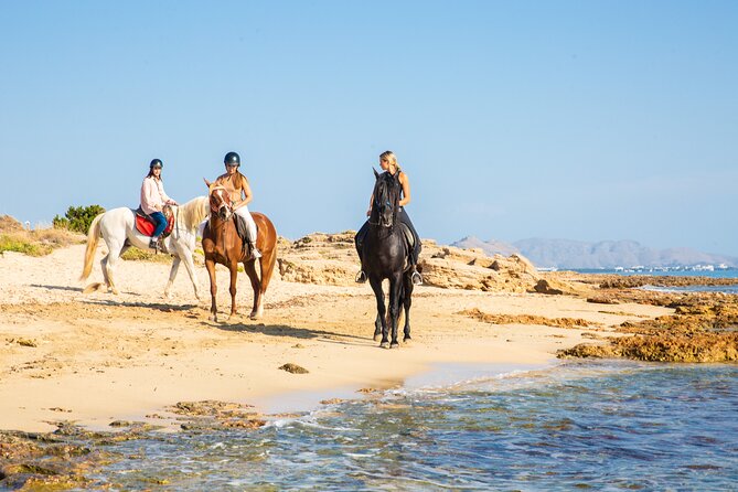 3-Hour Beach Horse Riding to Discover the Beauty of Alcudia Bay - In The Sum Up