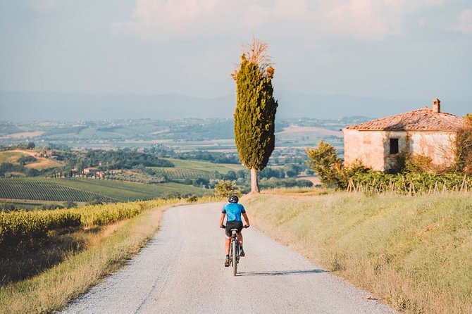 3-Hour Bike Tour and Wine in Tuscany: Nobile's Path - Introduction
