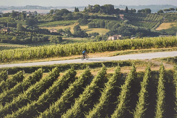3-Hour Bike Tour and Wine in Tuscany: Nobile's Path - The Guide and the Experience