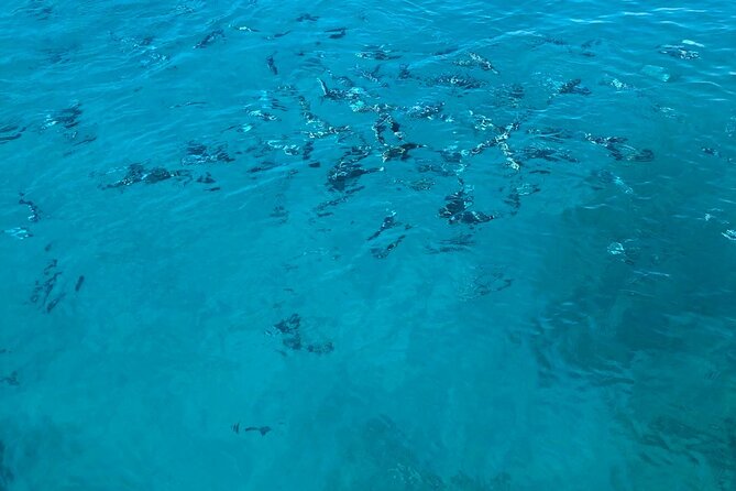 3-Hour Boat Tour - Exploring Ladiko Beach