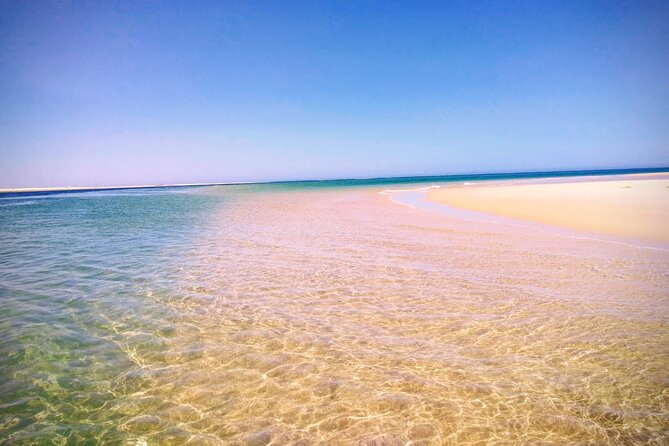 3 Hour Boat Tour in Ria Formosa - What to Expect: Tour Details and Itinerary