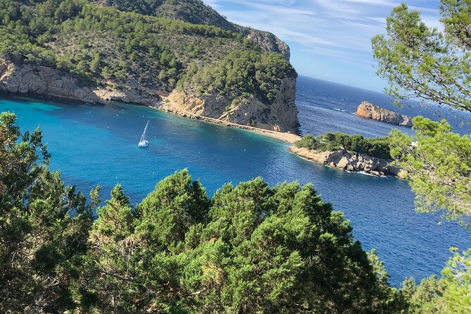 3 Hour Boat Trip to Ponta Da Piedade - Customer Feedback